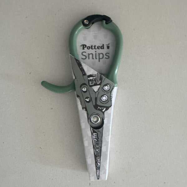 Potted Indoor Plant Snips - Eucalypt - Good Thing